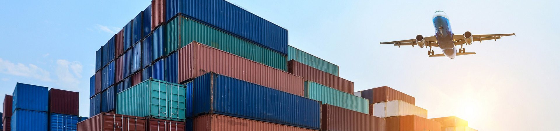 Auto Importers & Exporters | Trans Global Logistics